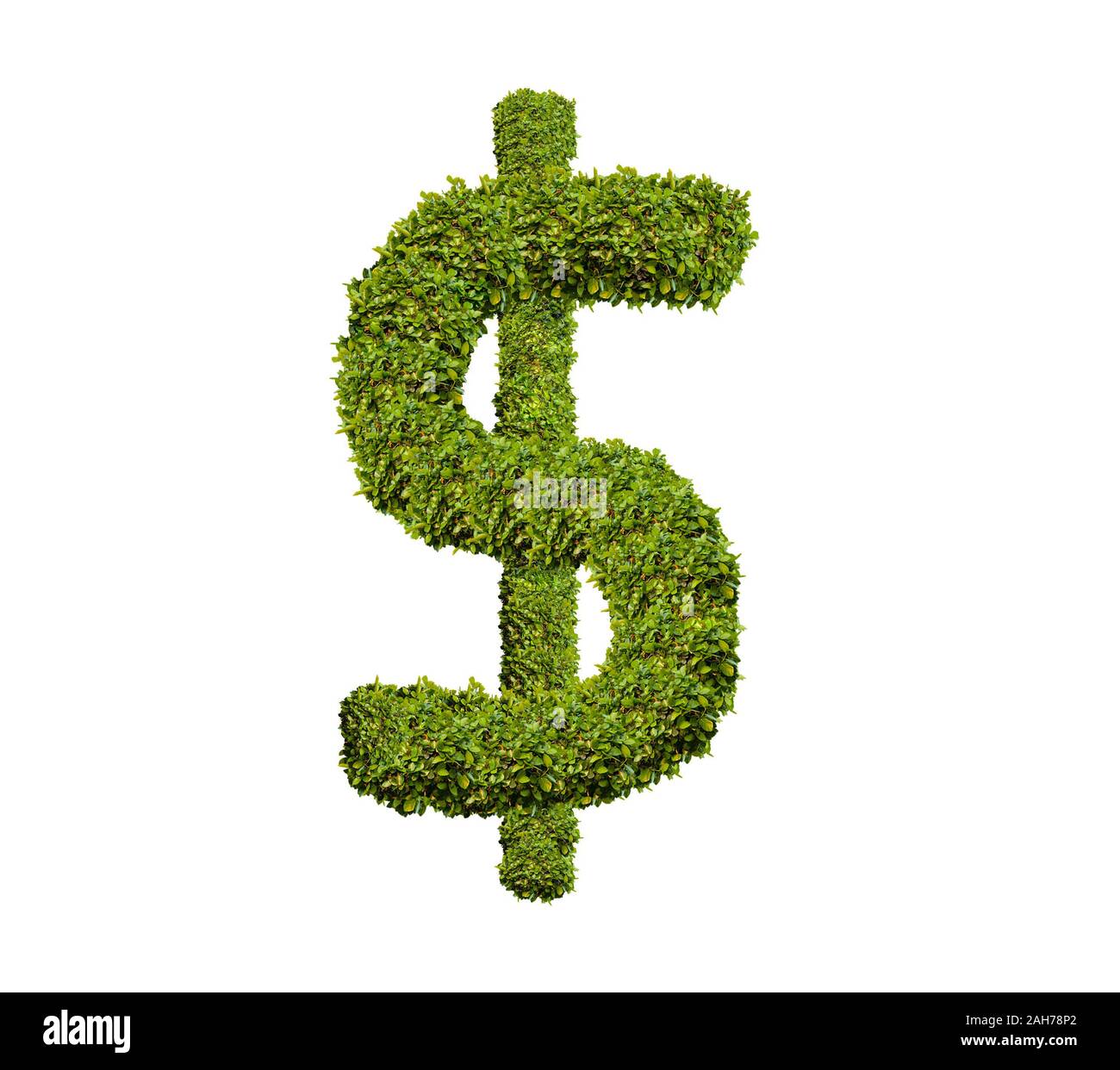 Small money tree plant Cut Out Stock Images & Pictures - Alamy