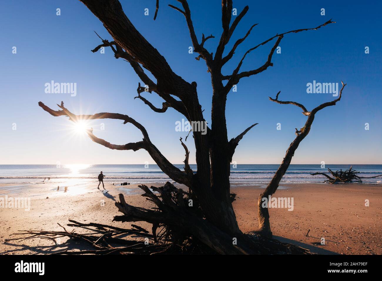 Usa botany bay plantation hi-res stock photography and images - Alamy