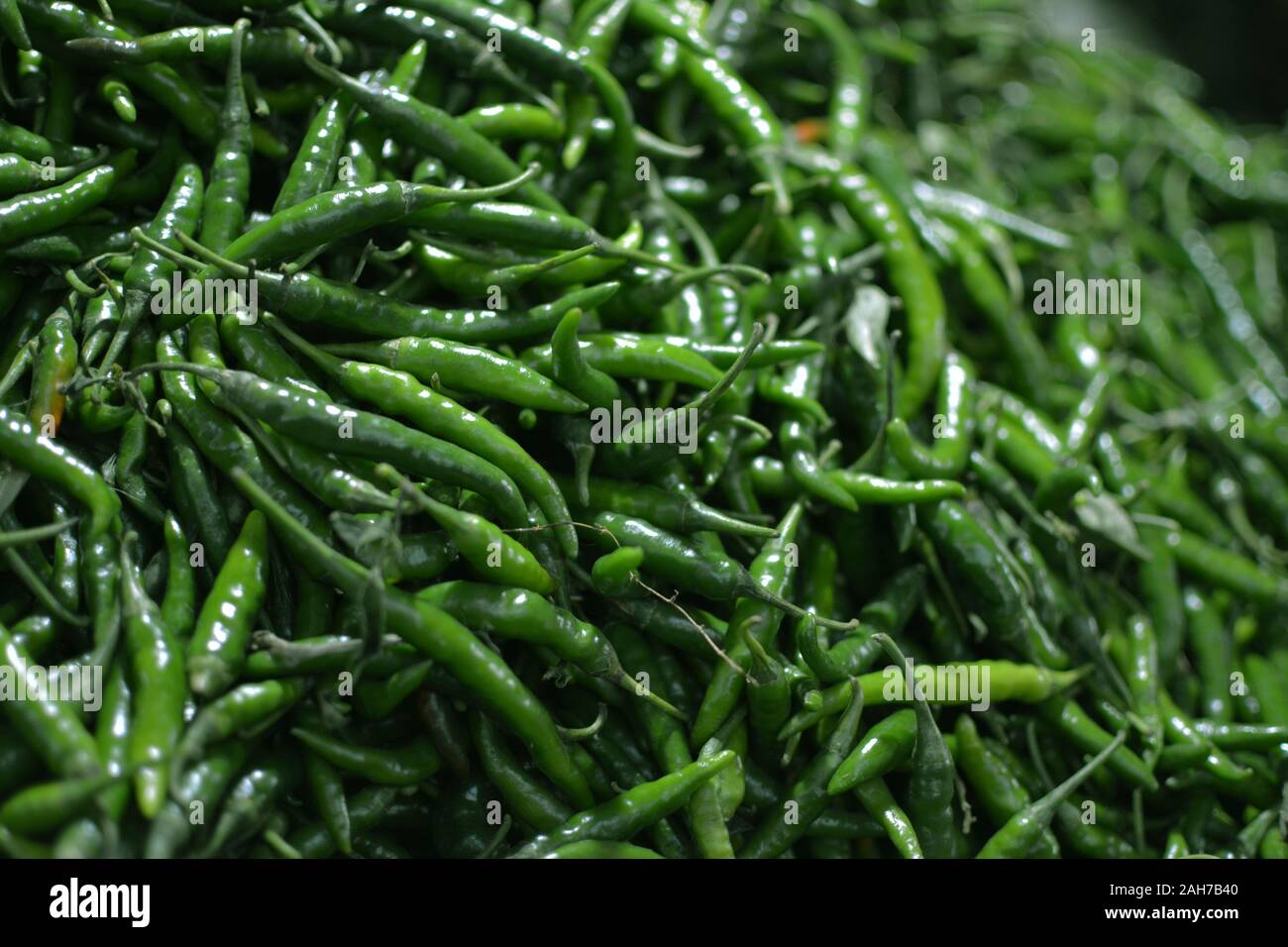 Fresh Green Chilli in Indian Market Stock Photo - Alamy