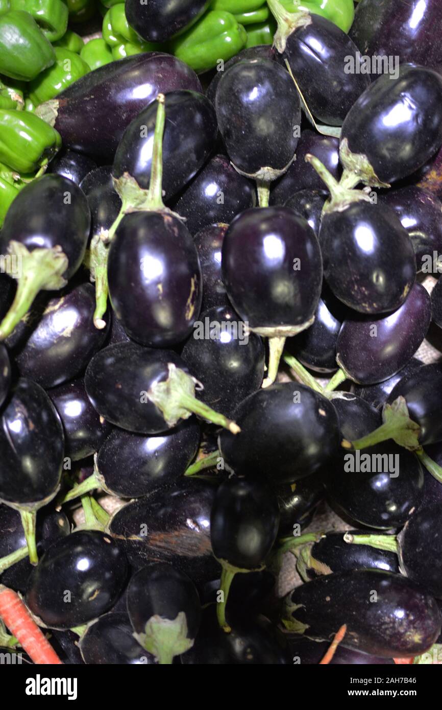 Brinjal vegetables in Indian market Stock Photo - Alamy