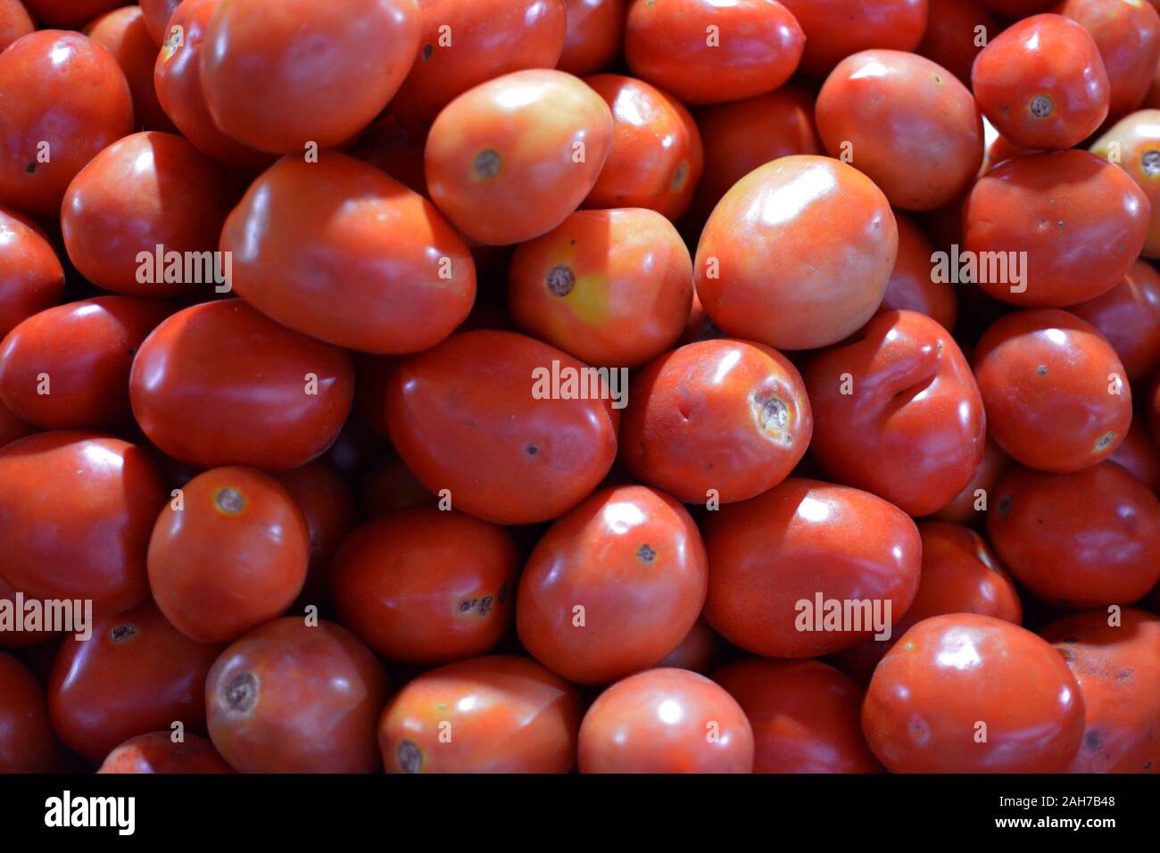 Red tomato in Indian Market Stock Photo - Alamy