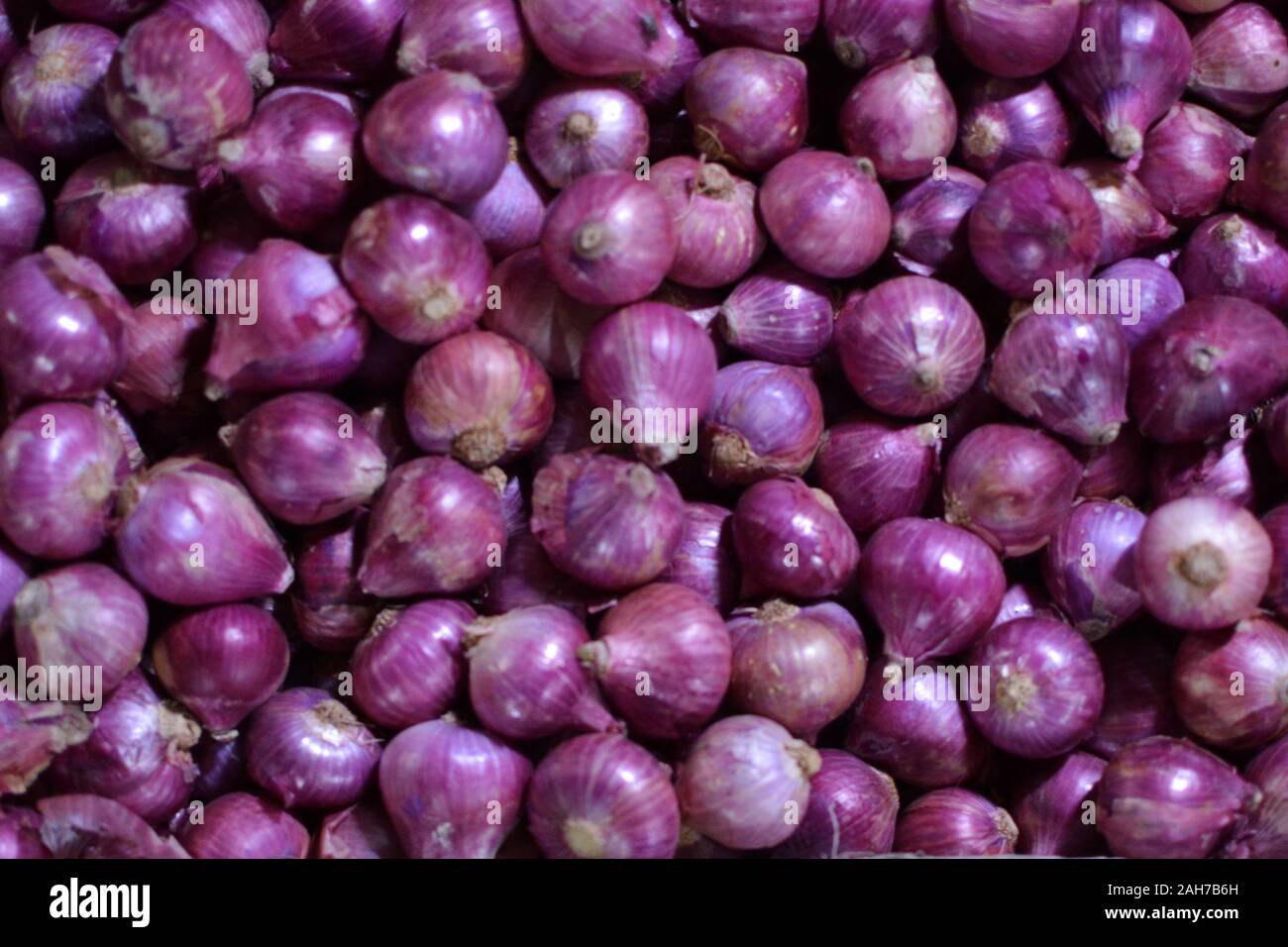 onion in Indian Market Stock Photo - Alamy