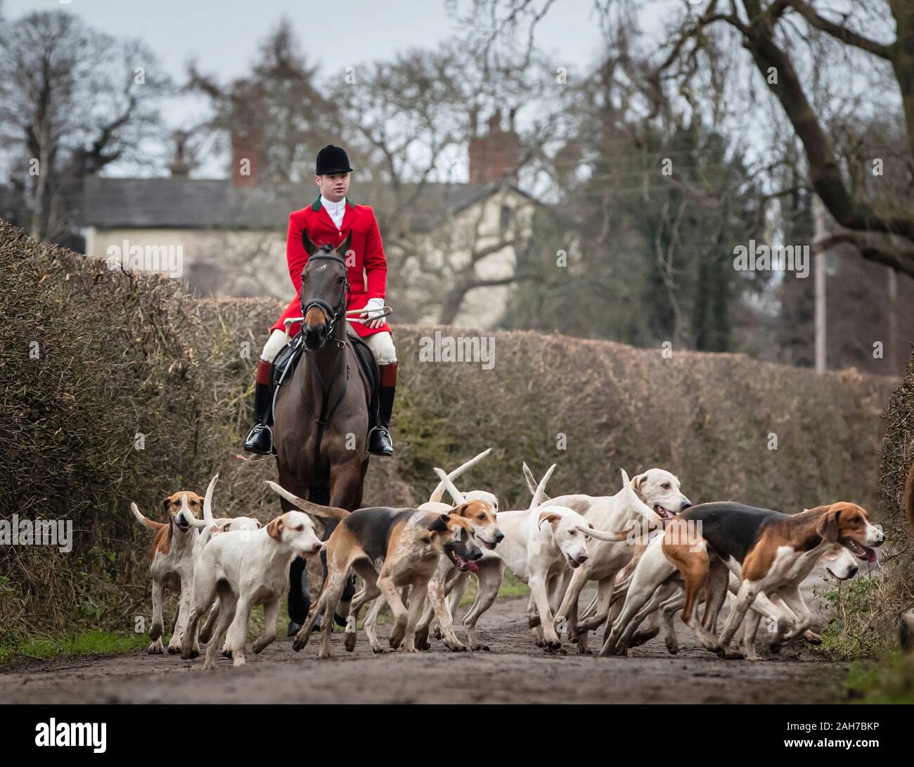 Rufford hunt take part hi-res stock photography and images - Alamy