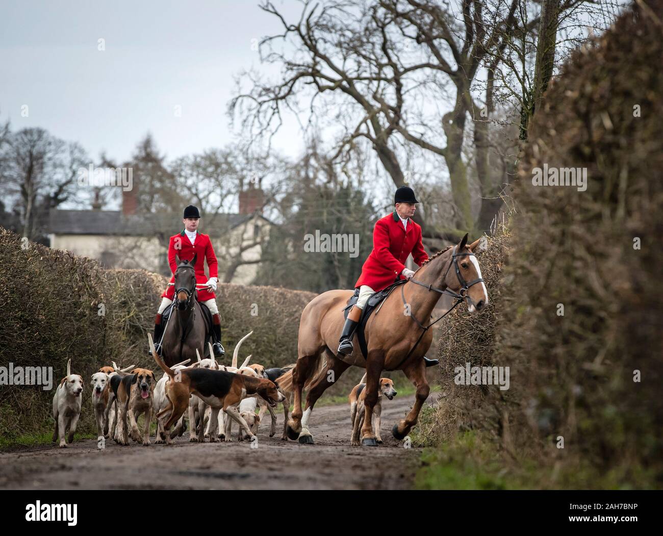 Dozens boxing day hunts hi-res stock photography and images - Alamy