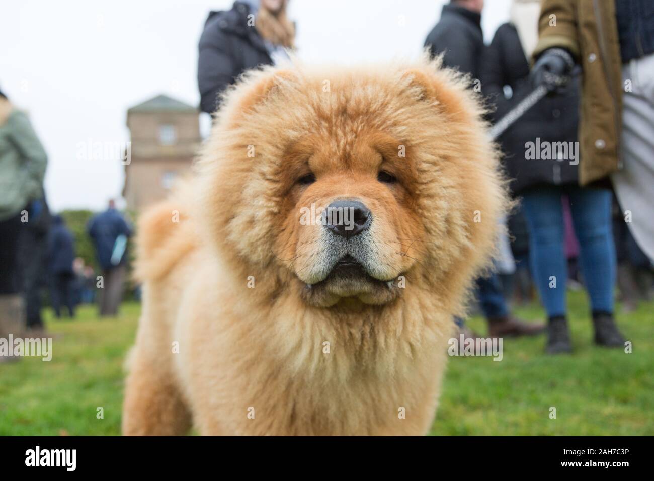 Chow hall hi-res stock photography and images - Alamy
