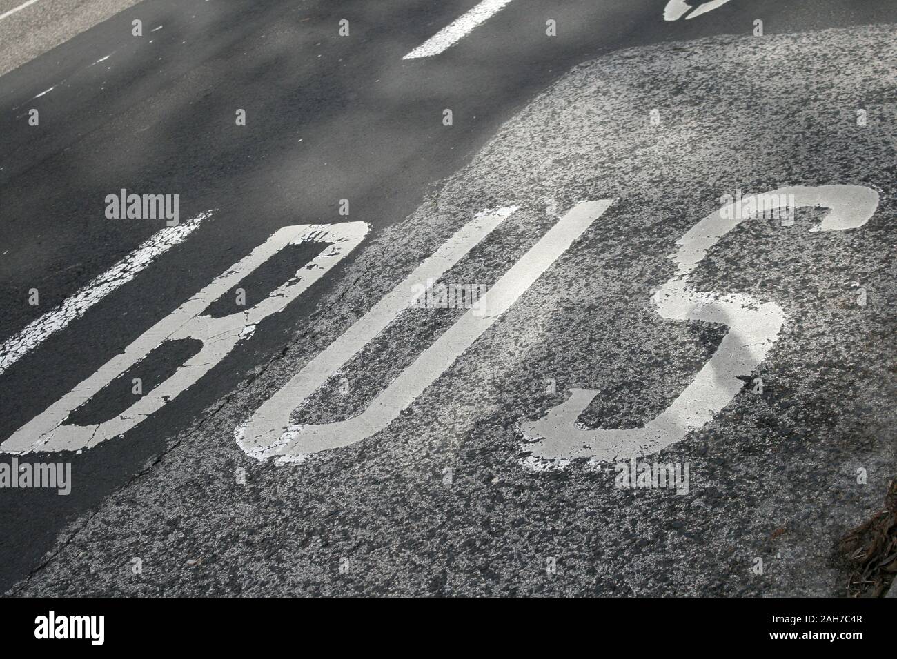 Sign on the road "BUS Stock Photo - Alamy