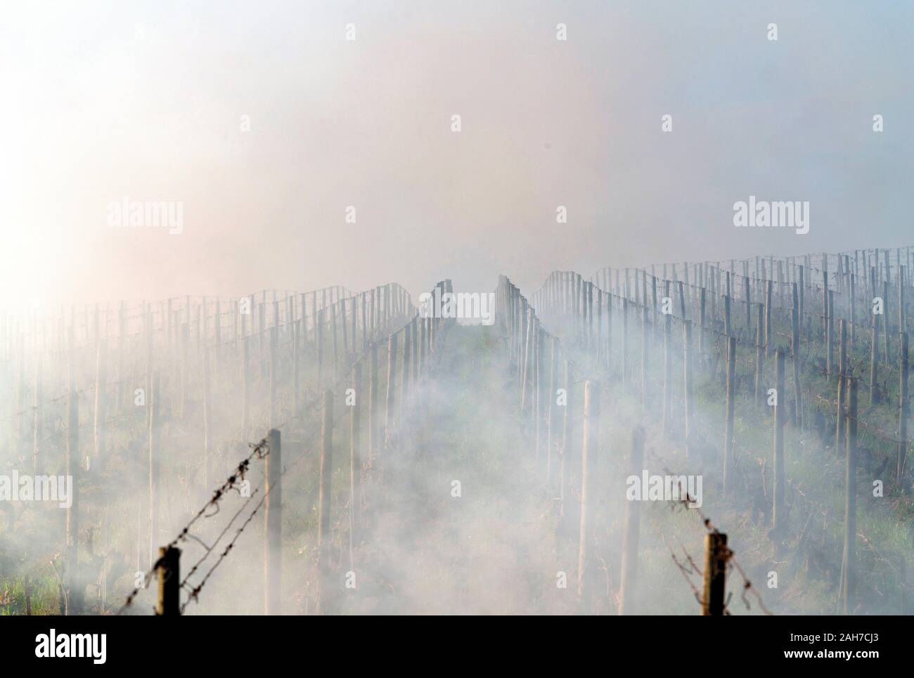 Vineyard Fire High Resolution Stock Photography and Images - Alamy