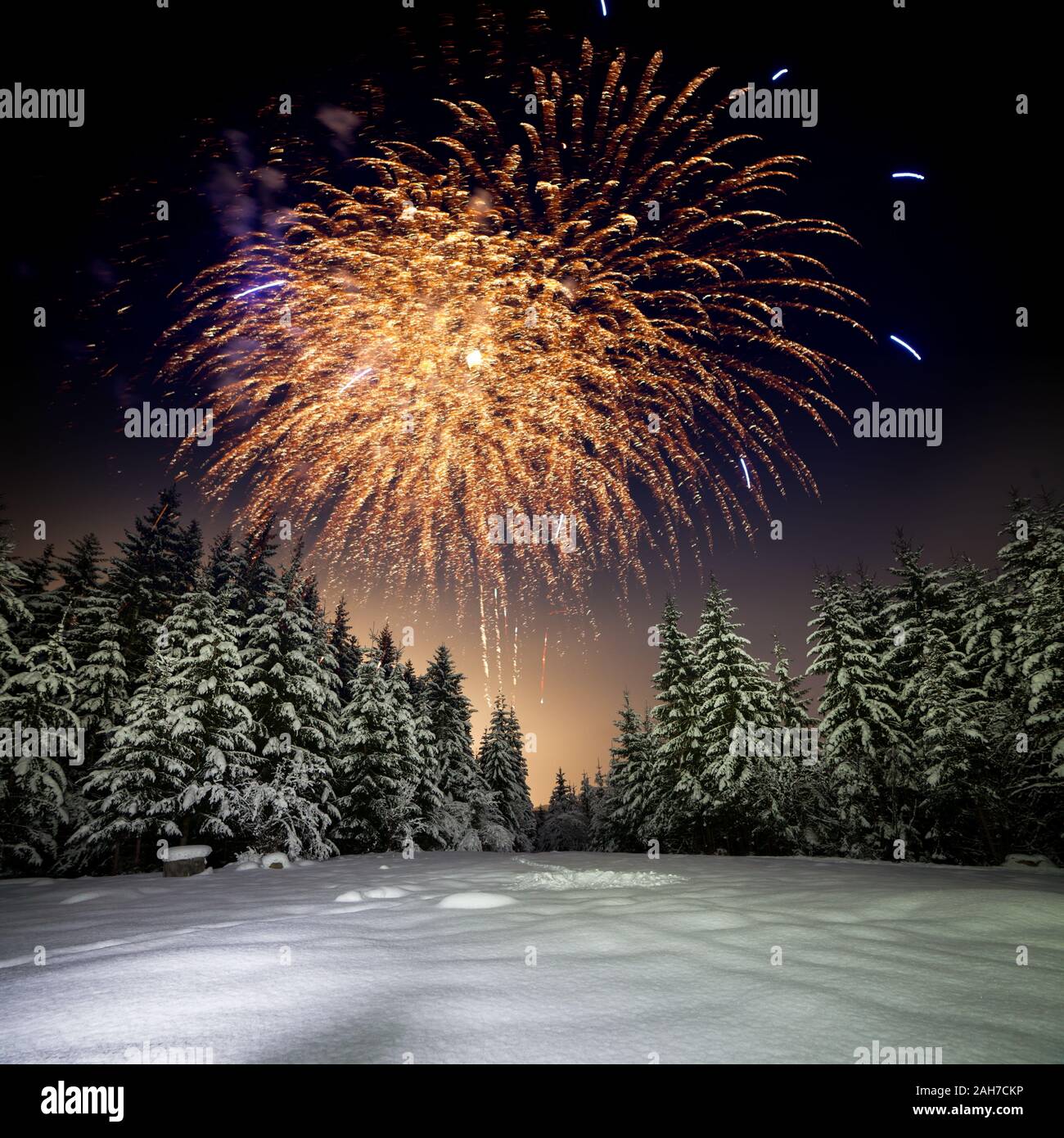 Winter night landscape with forest, pink polar light and fireworks over ...