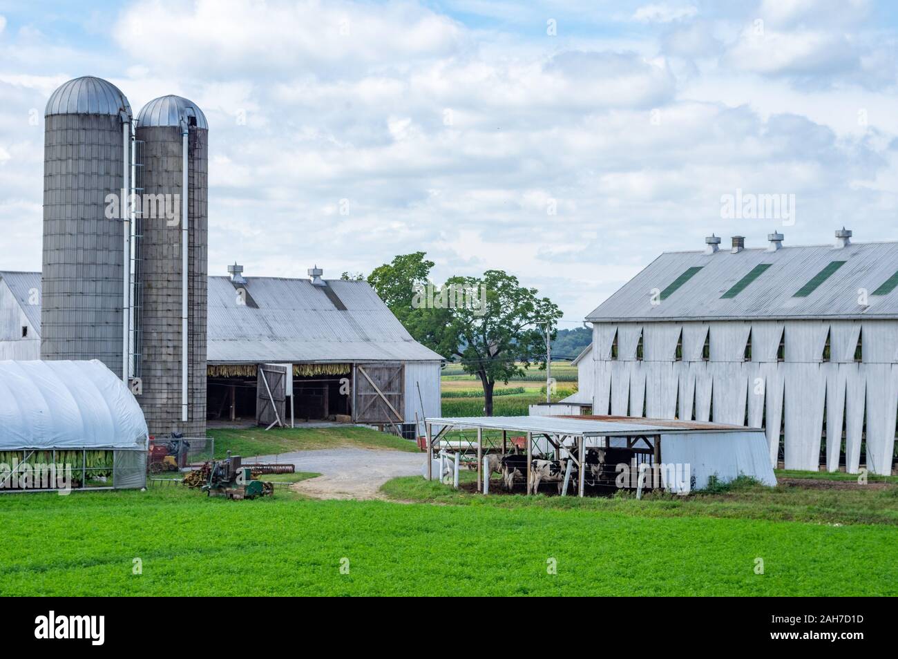 Tobacco barns hi-res stock photography and images - Alamy