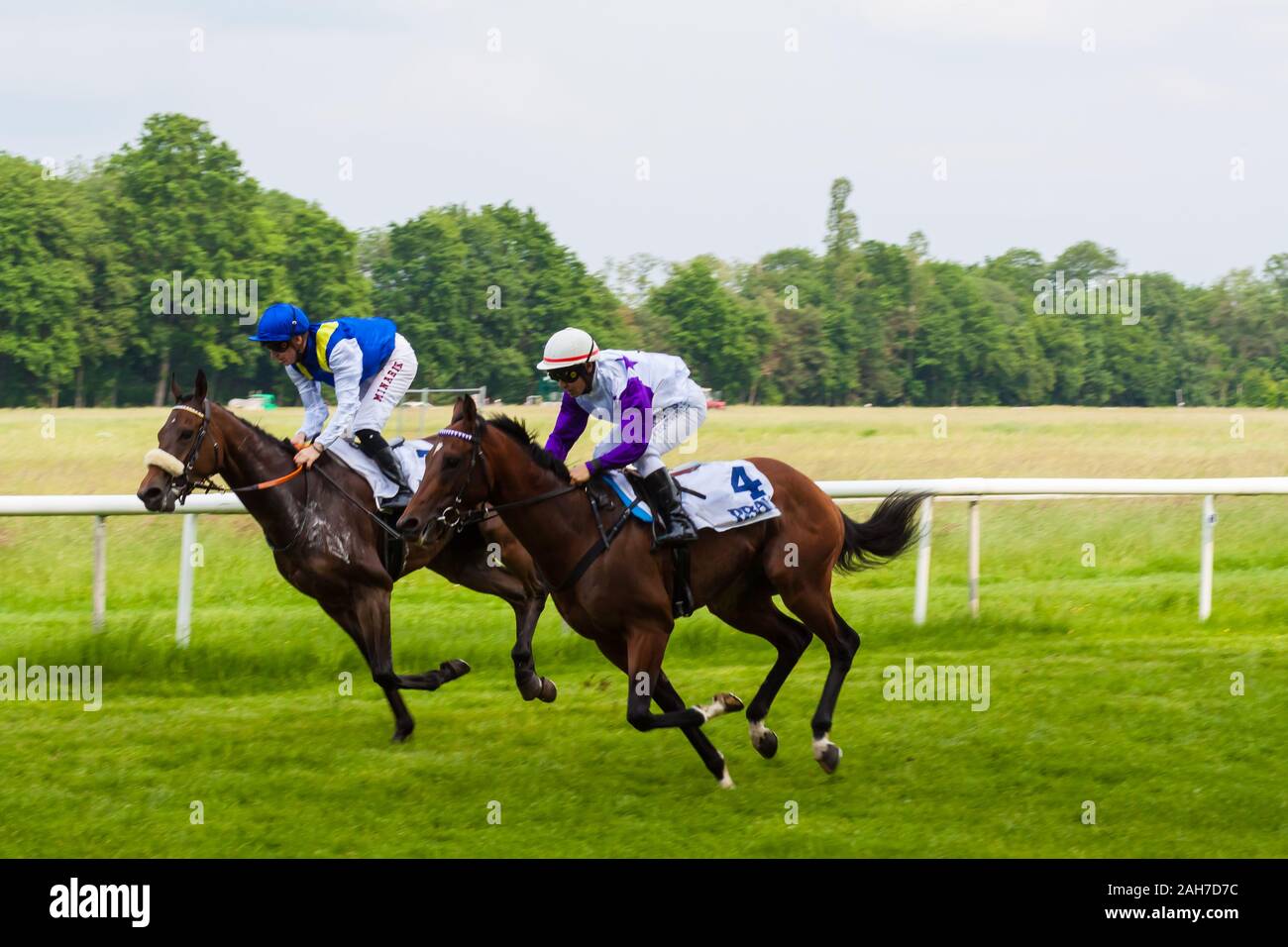 Horses running with jockey during derby race Stock Photo - Alamy