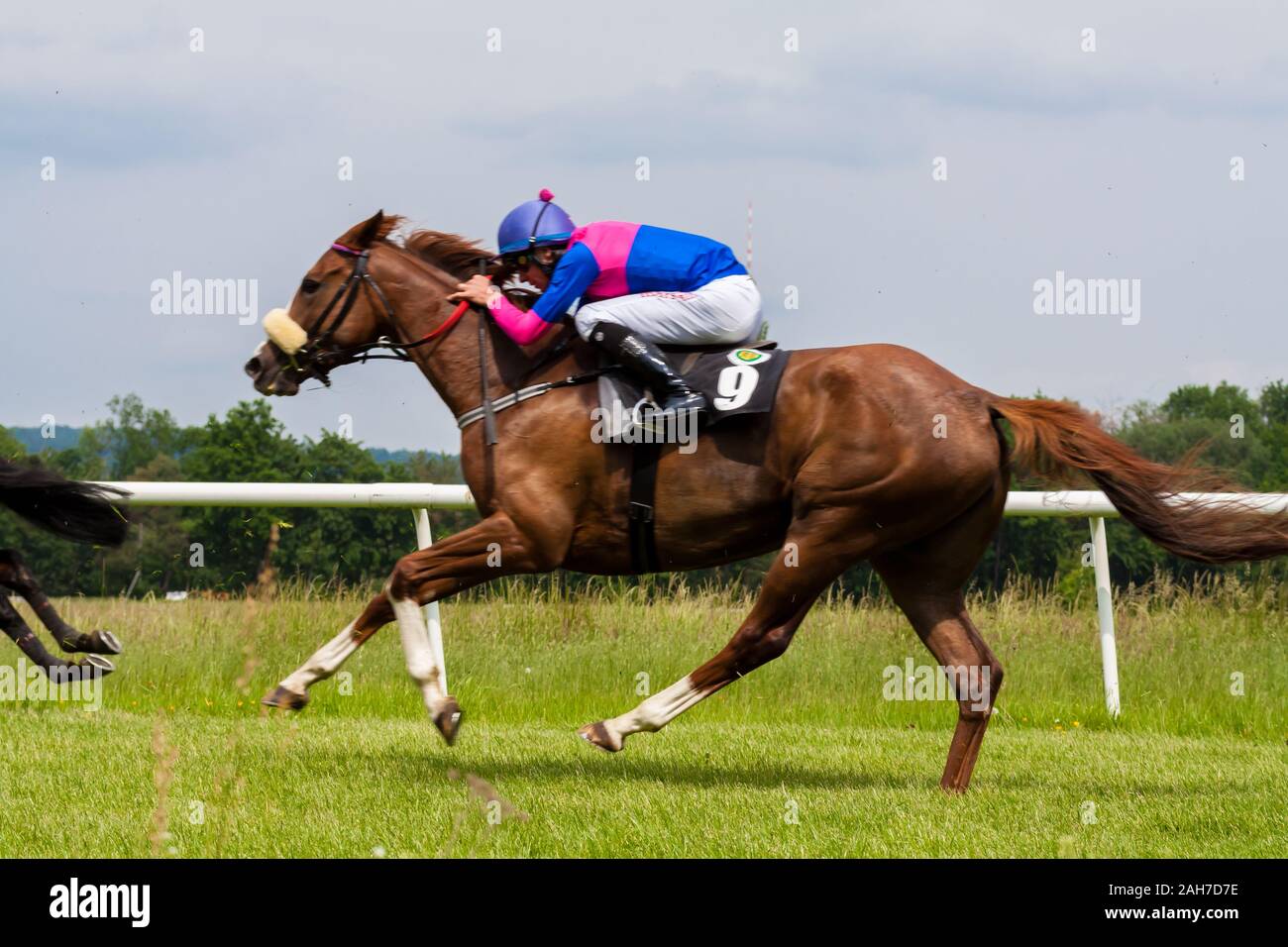 Kentucky derby horse running hi-res stock photography and images - Alamy