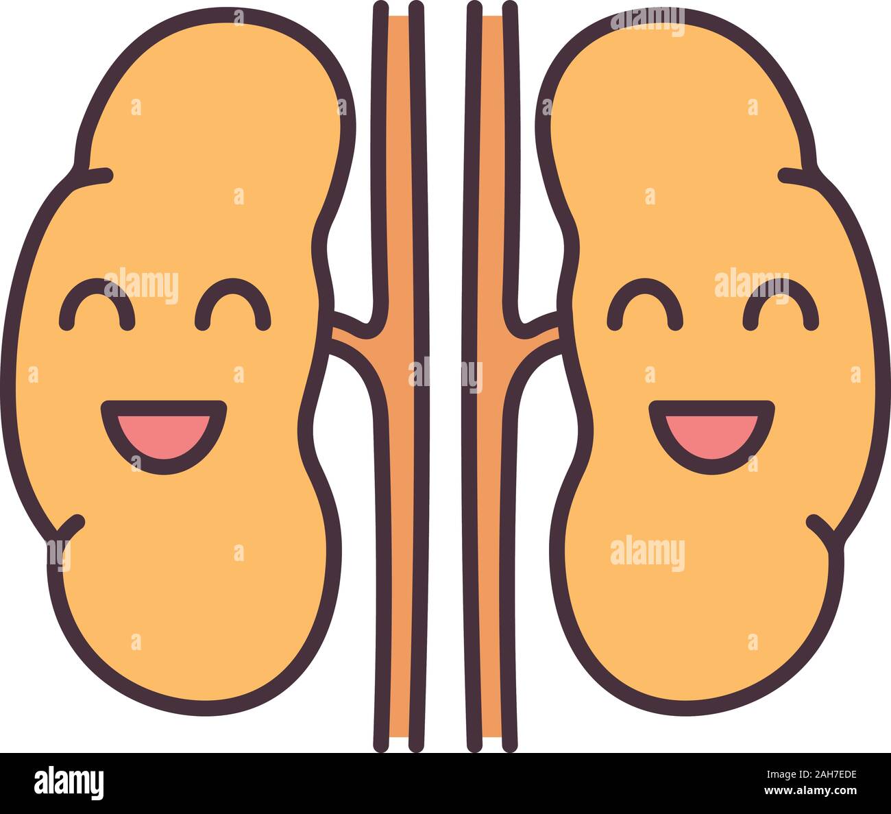 Smiling human kidneys color icon. Healthy urinary tract. Urinary system ...