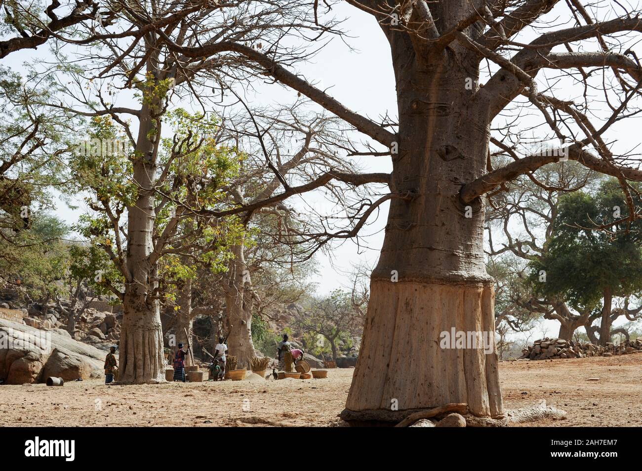 Mali dogon women tribe hi-res stock photography and images - Alamy