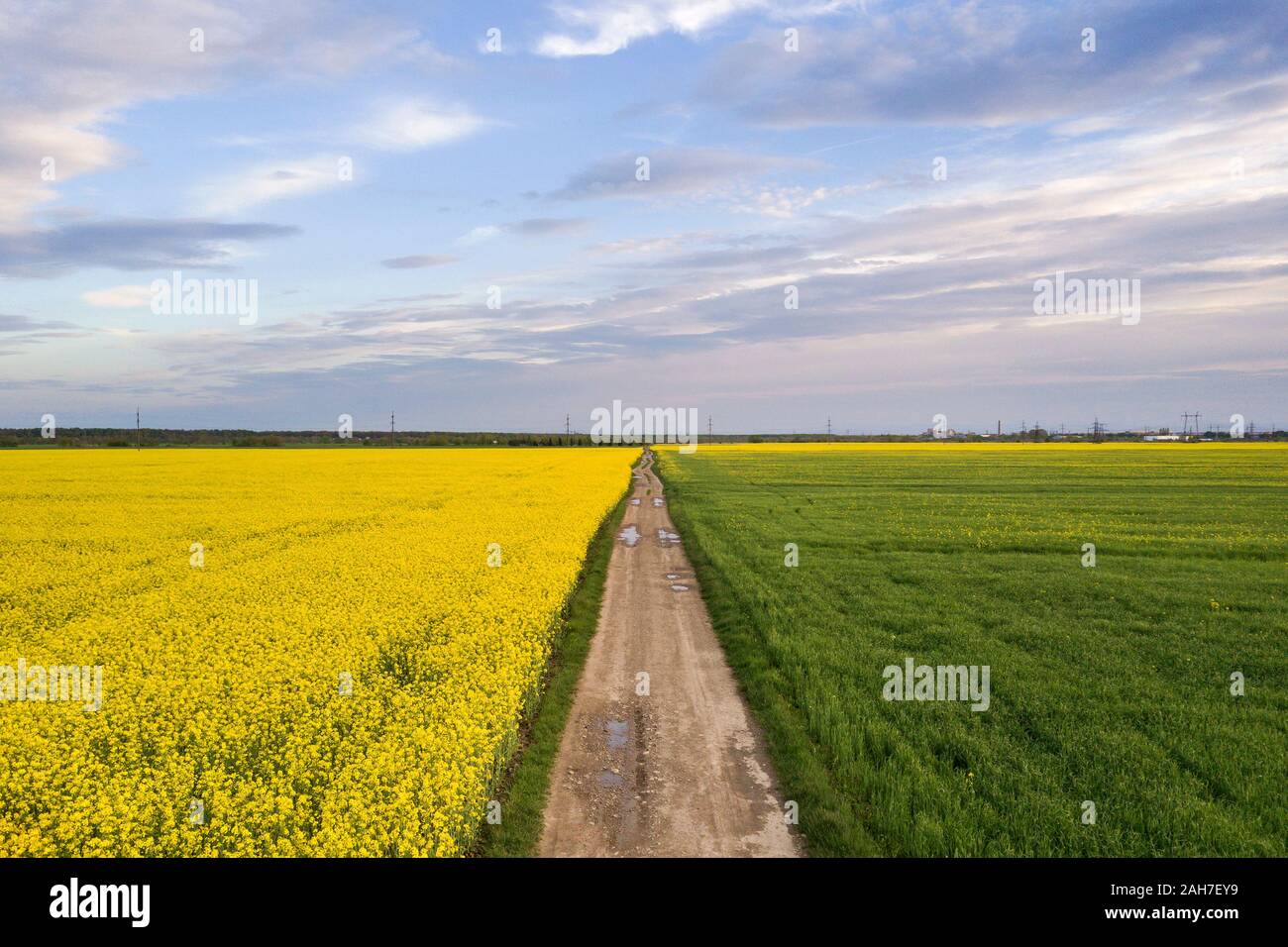 Aerial view of straight ground road with rain puddles in green fields ...
