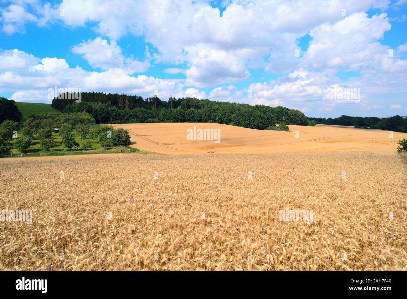 Brandenburg village fields hi-res stock photography and images - Alamy