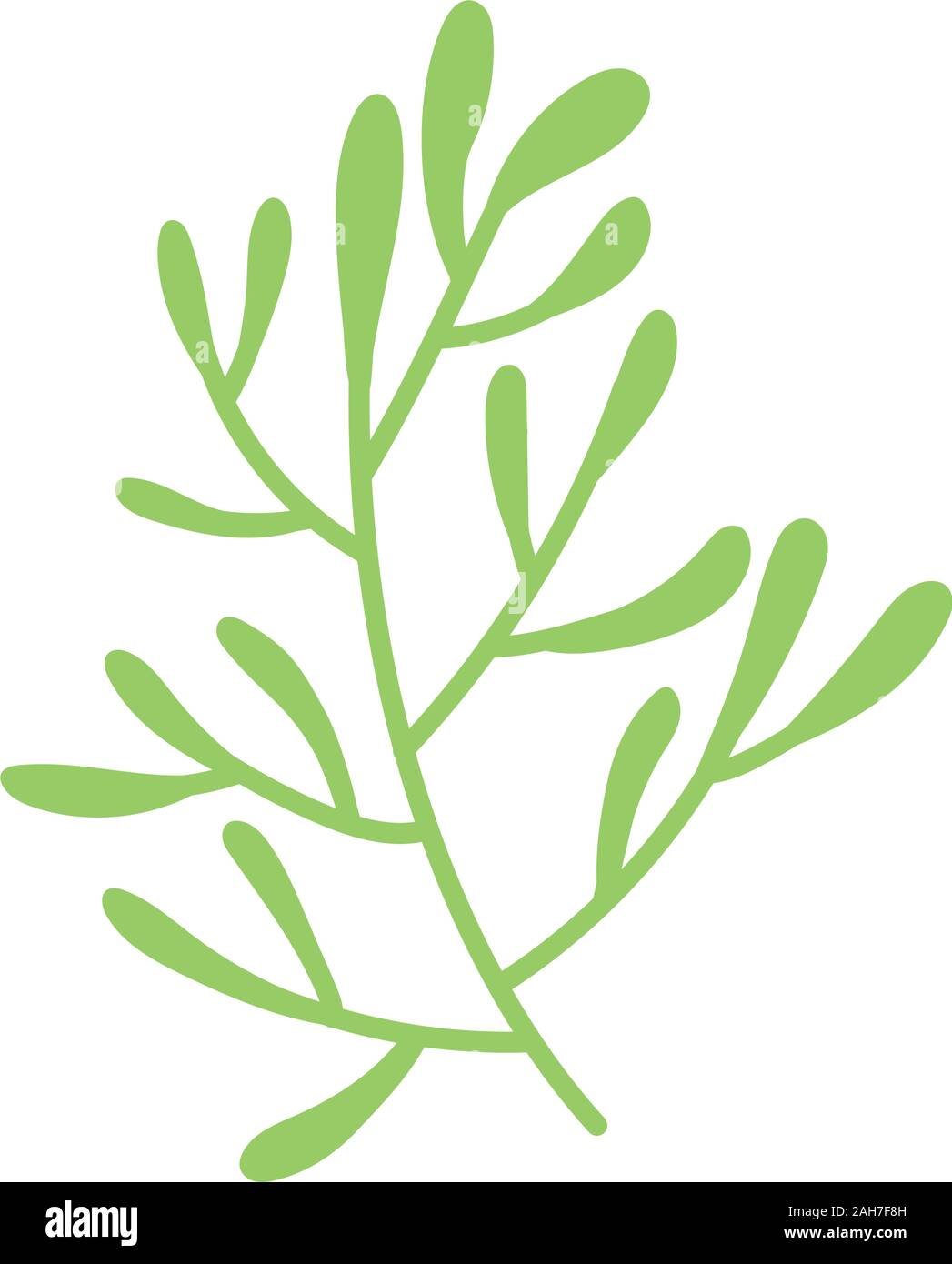 Isolated natural leaf design of Floral nature plant garden ornament ...