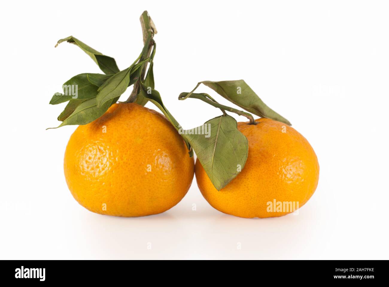 two tangerines with a green branch. On a white background close-up ...