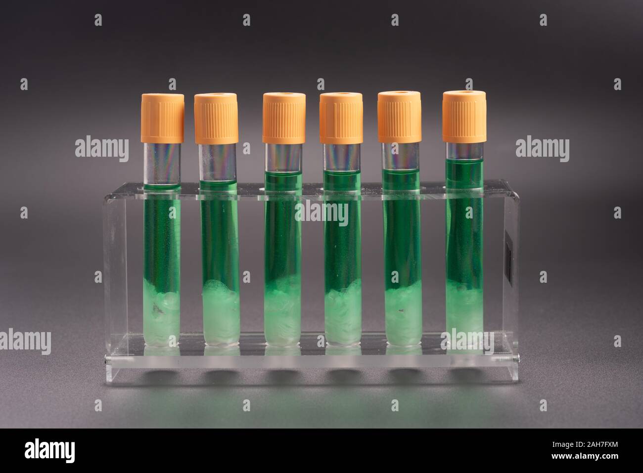 Test tubes with chemical samples in science laboratory Stock Photo - Alamy