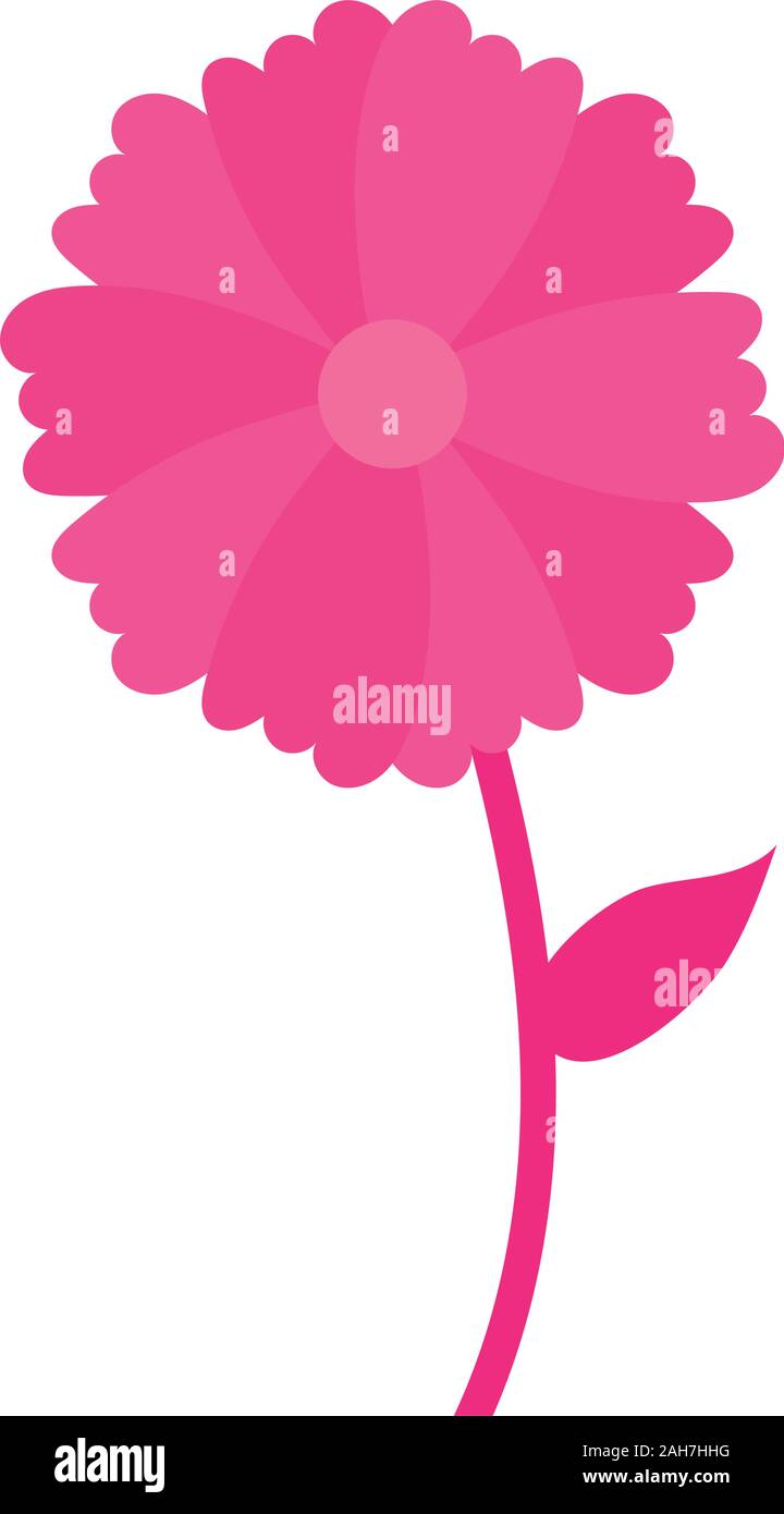 Natural pink flower design, floral nature plant ornament garden ...