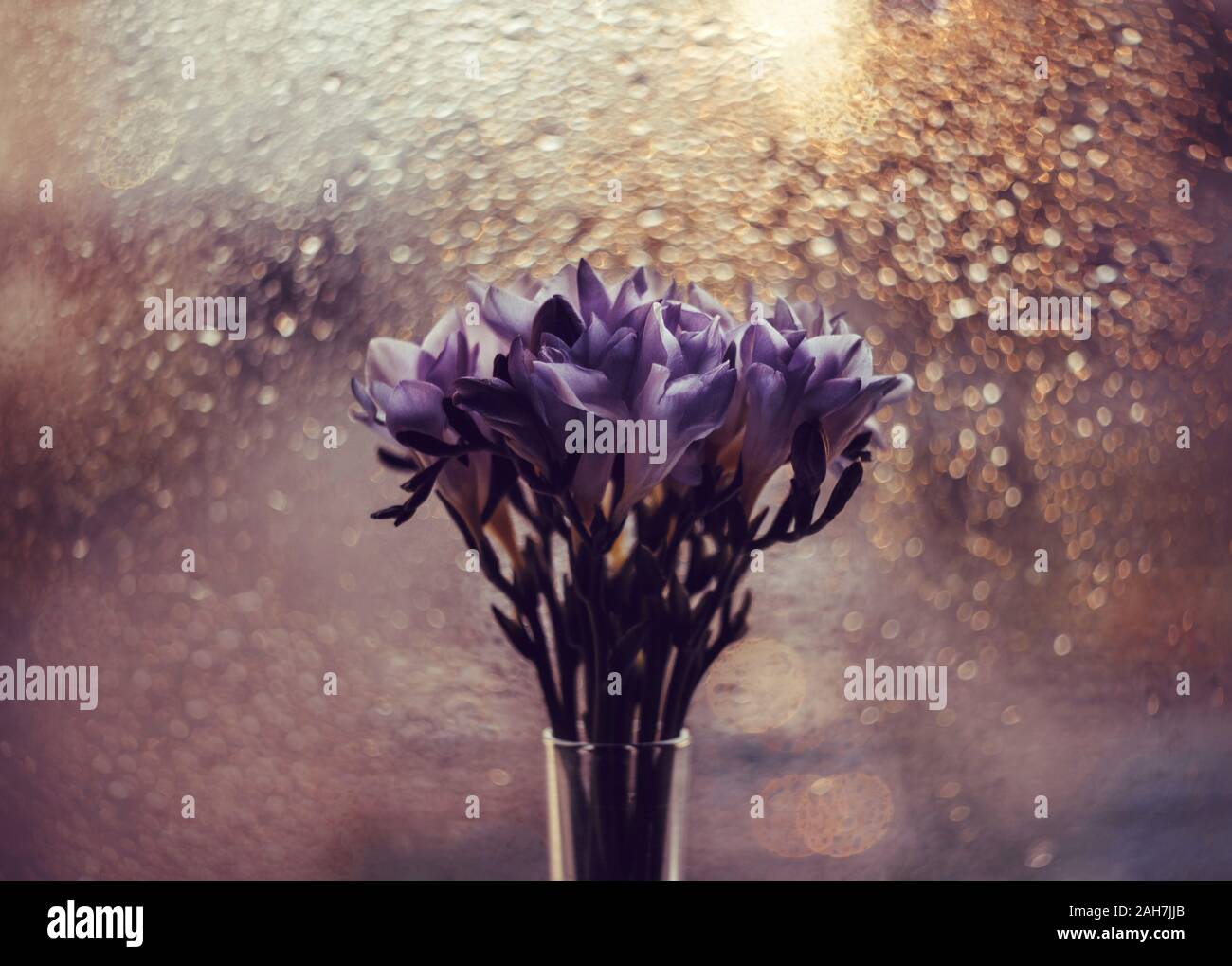 Beautiful bouquet of freesia on the background of the window. Shiny ...