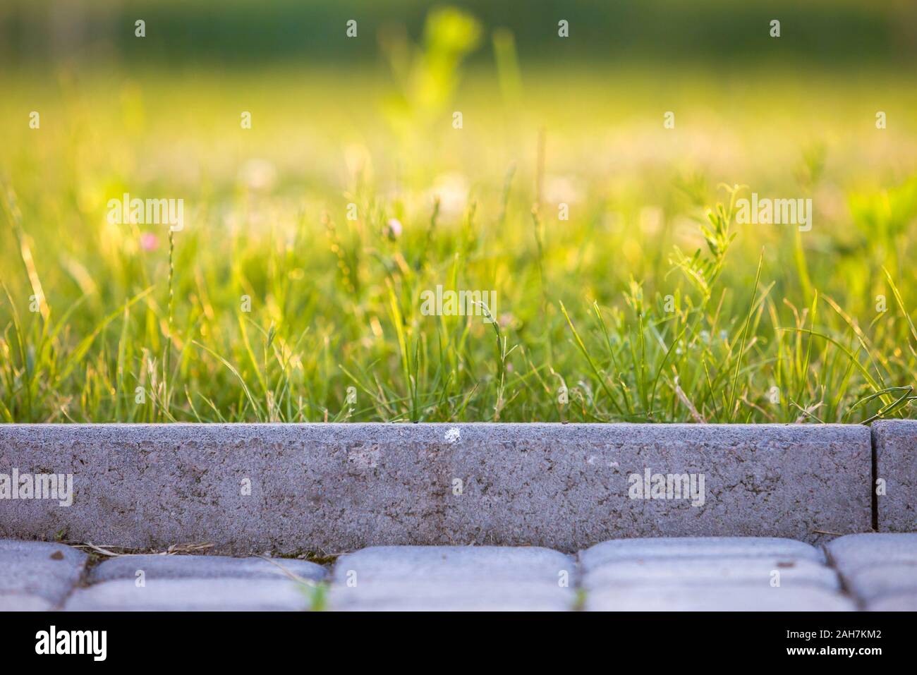 Closeup of pavement curb with green grass lawn behind Stock Photo - Alamy