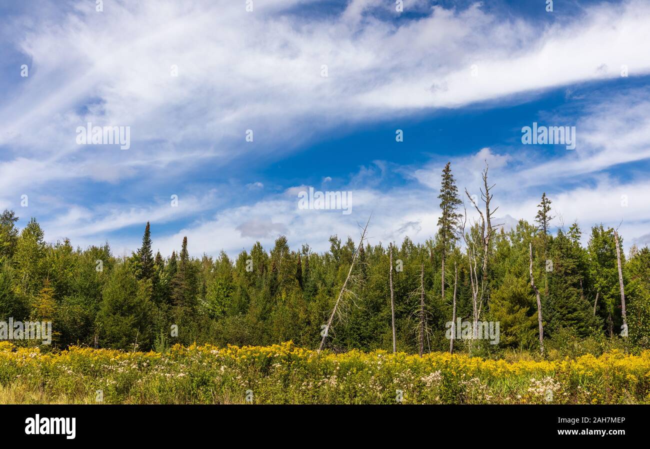 Chequamegon nicolet national forests hi-res stock photography and ...