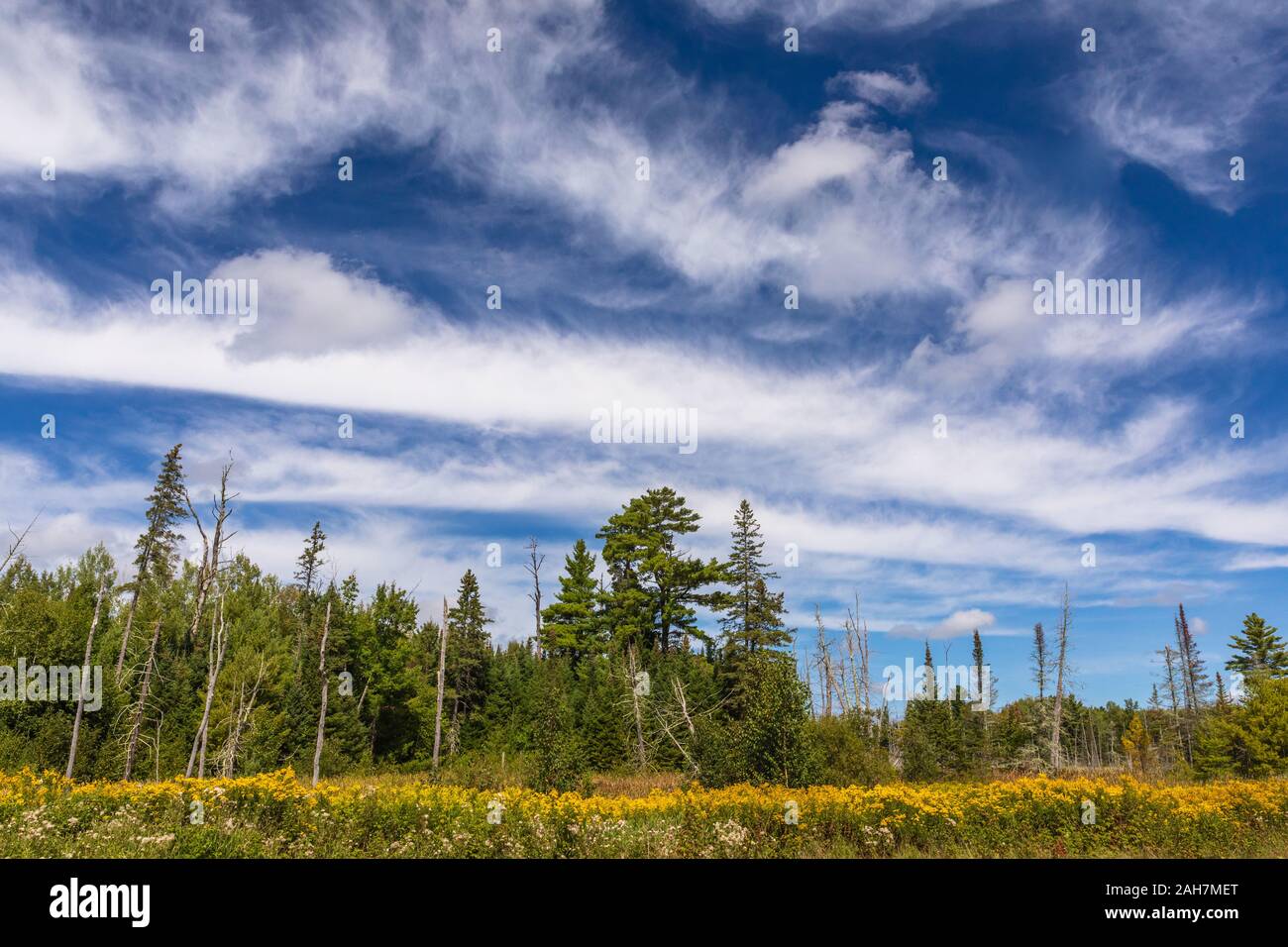 Chequamegon nicolet national forests hi-res stock photography and ...