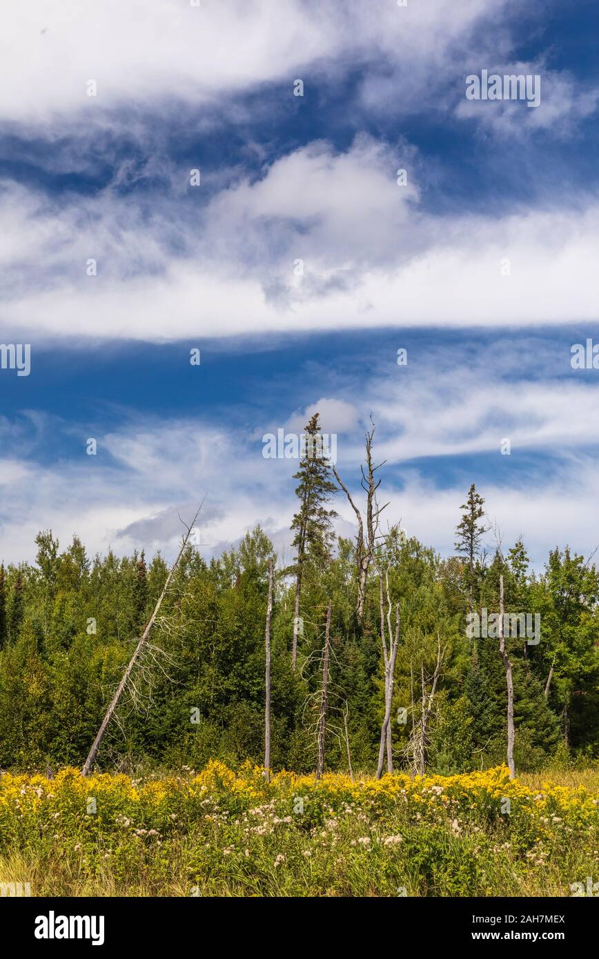 Chequamegon Nicolet National Forests High Resolution Stock Photography ...
