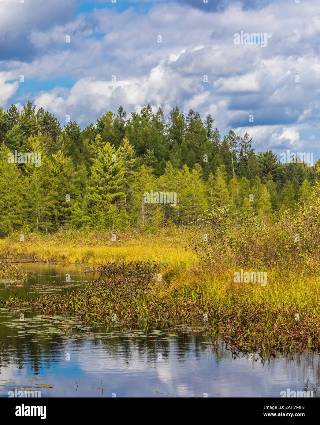 Chequamegon nicolet national forests hi-res stock photography and ...