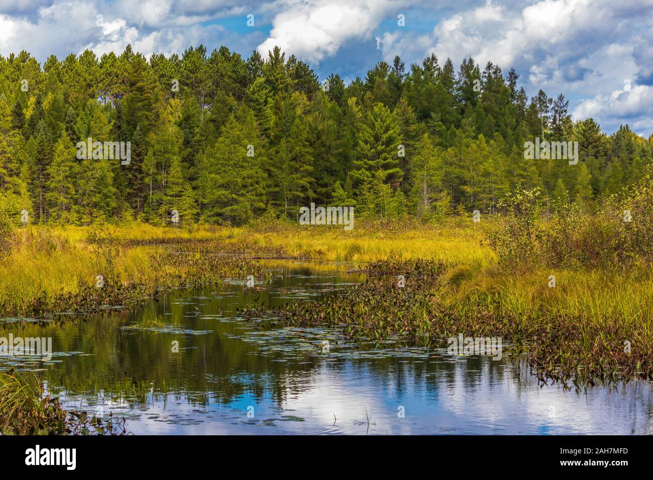 Chequamegon nicolet national forests hi-res stock photography and ...