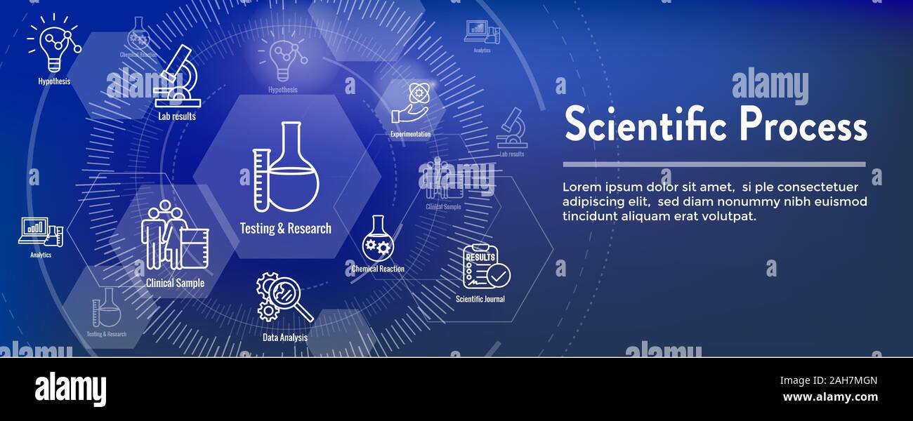 Reviewed vector vectors hi-res stock photography and images - Alamy