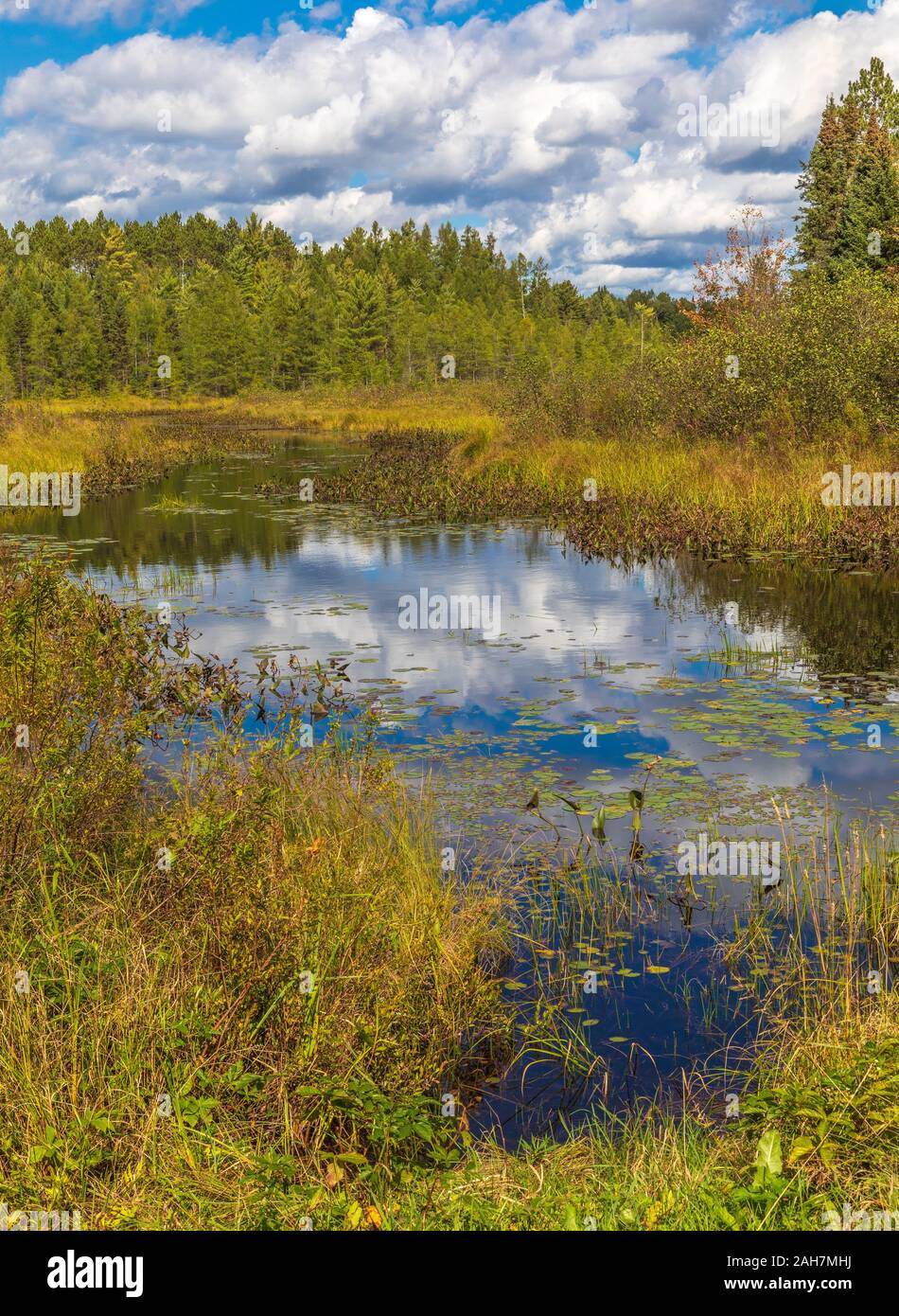 Chequamegon nicolet national forests hi-res stock photography and ...