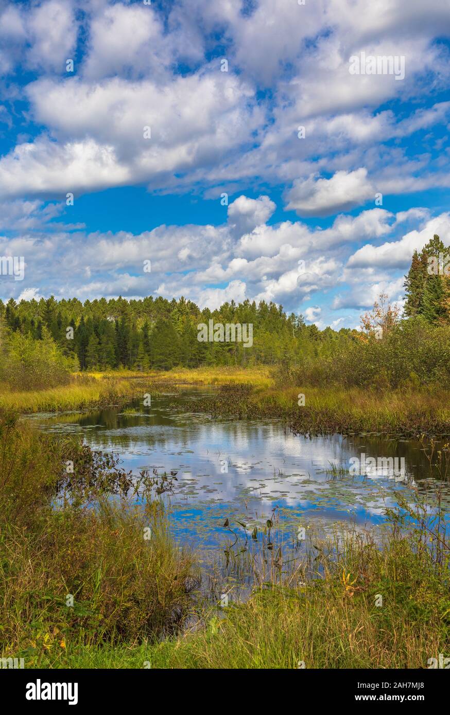 A pretty fall day in the Chequamegon National Forest in northern ...