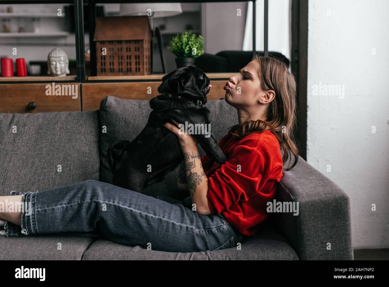 Grimacing animal hi-res stock photography and images - Alamy