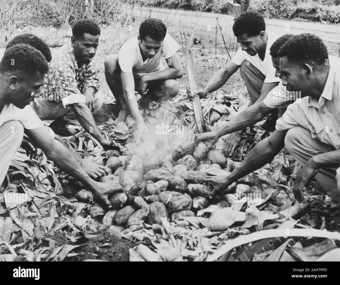 Lovo cooking hi-res stock photography and images - Alamy