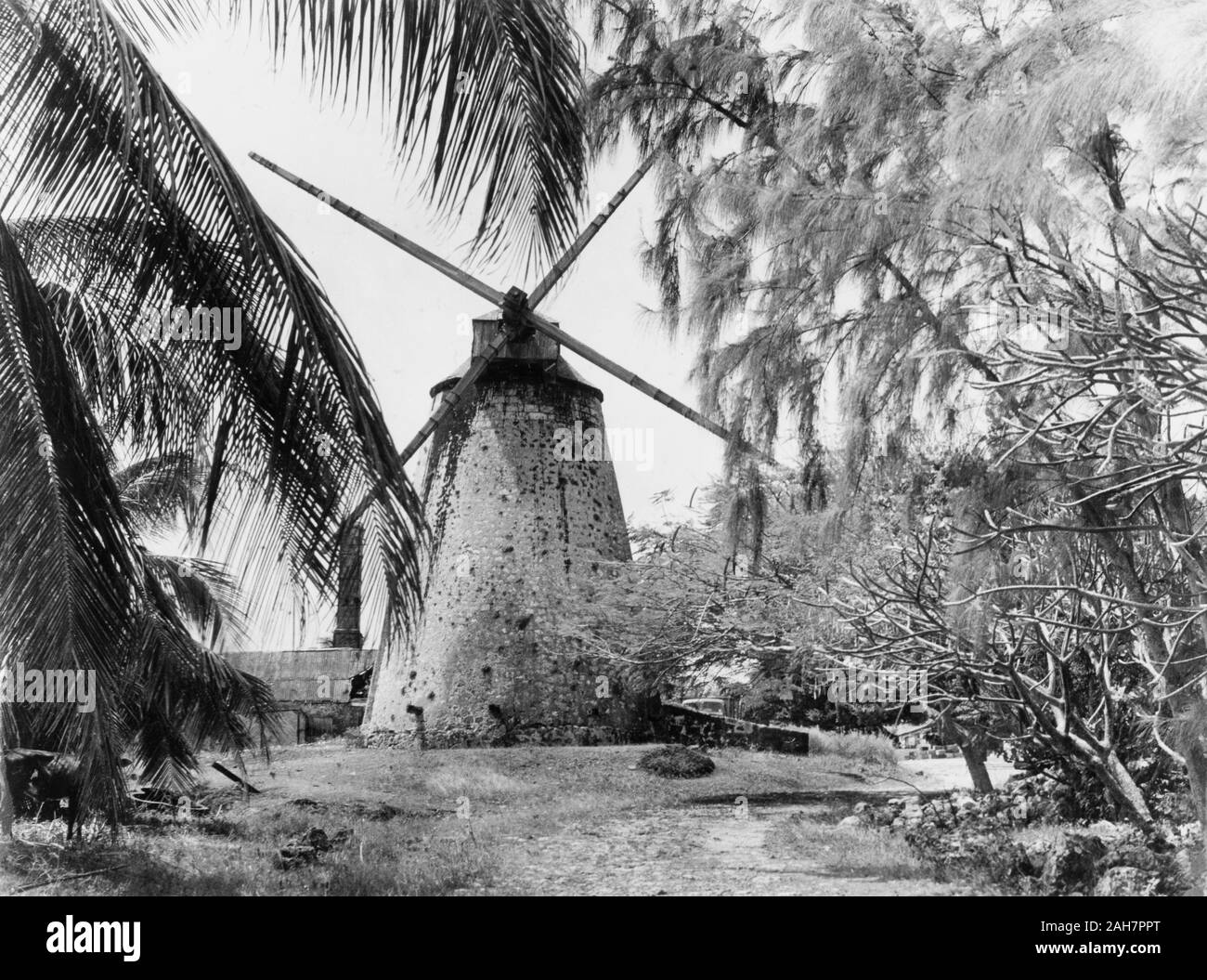 Barbadoswindmill hi-res stock photography and images - Alamy