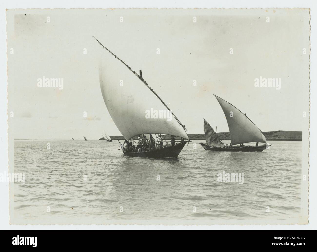 Dellsomaliitaliana hi-res stock photography and images - Alamy