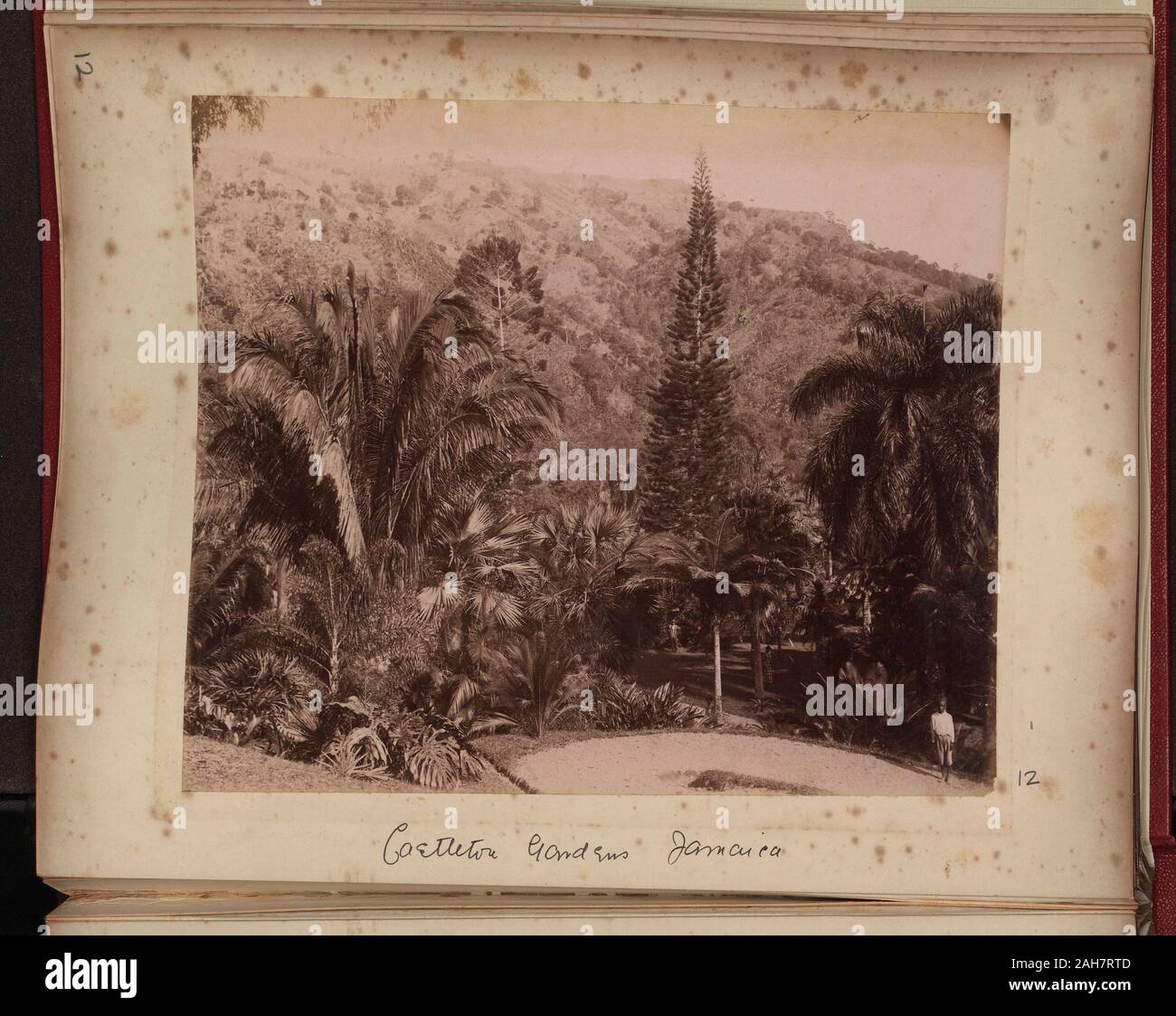 Castletgardens hi-res stock photography and images - Alamy