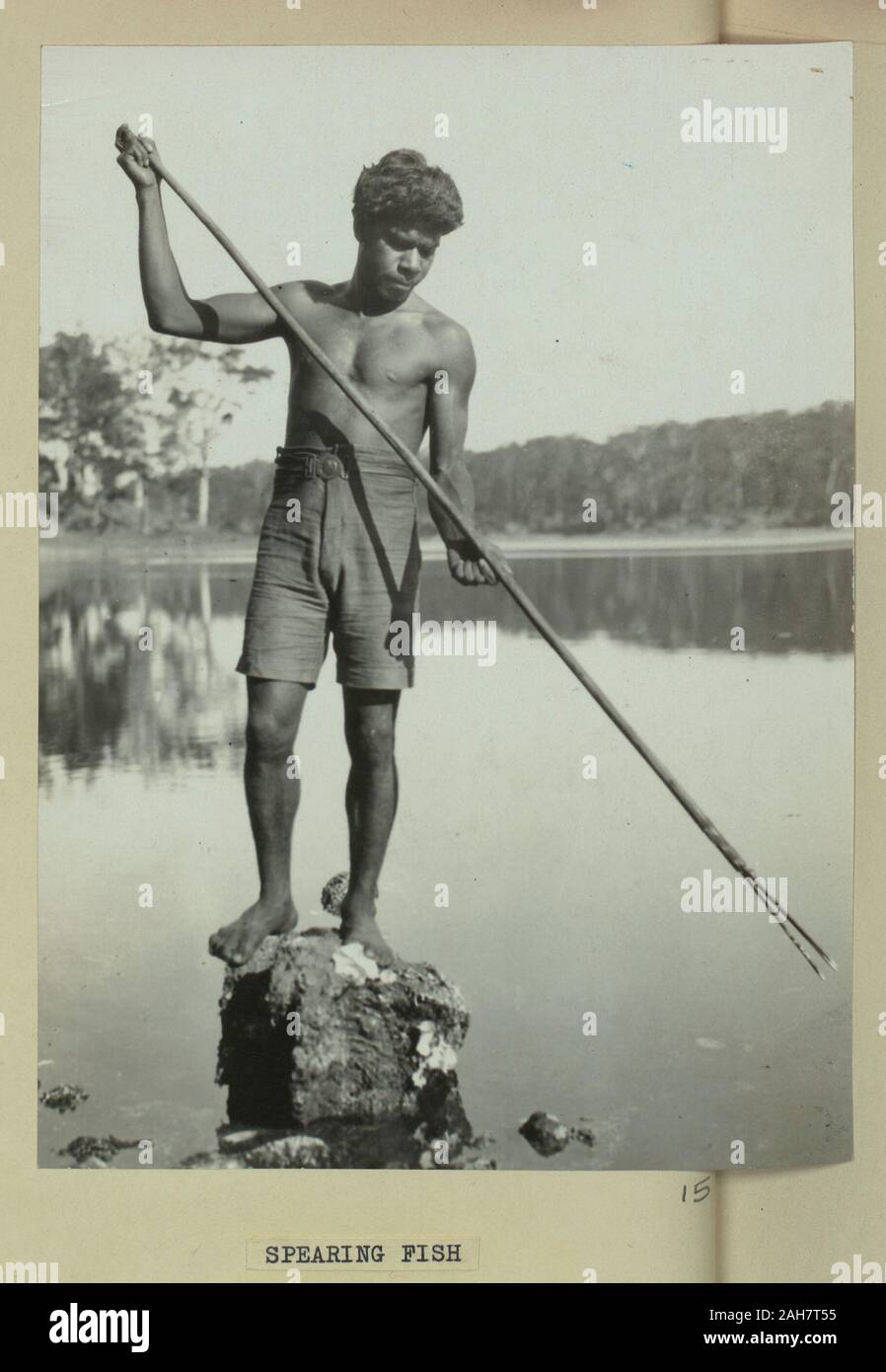 Australia, Aboriginal man fishing with a spear.Caption reads: Spearing ...