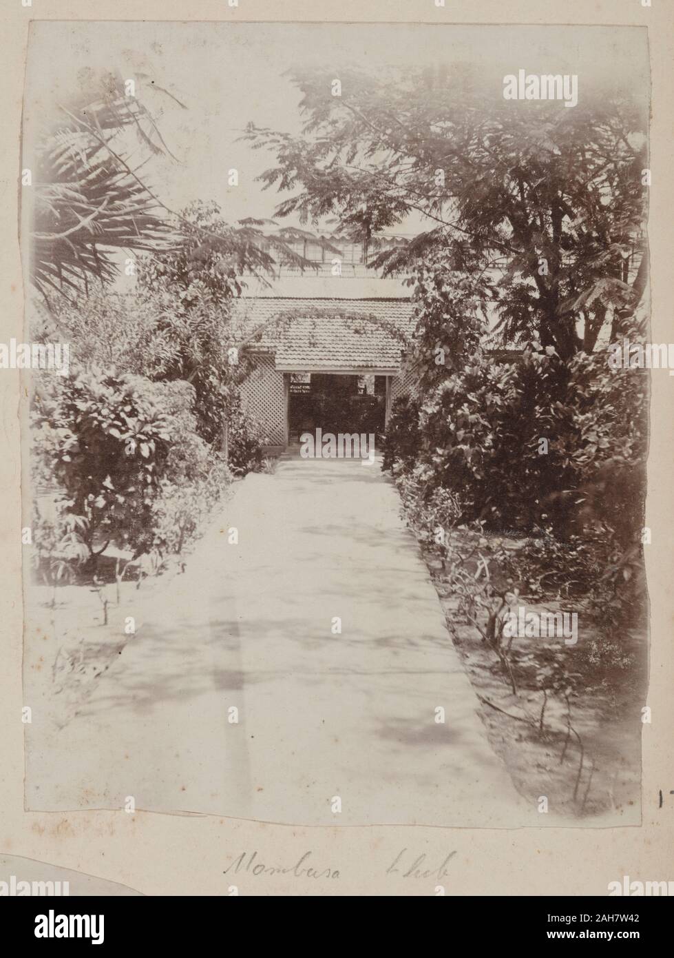 Kenya, Entrance to building. Path lined with palm treesOriginal ...