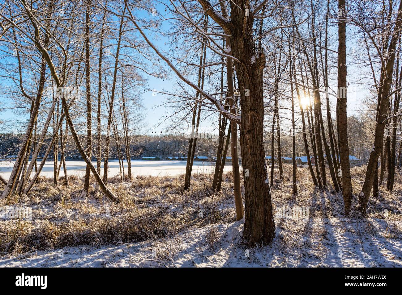 Very few trees hi-res stock photography and images - Alamy