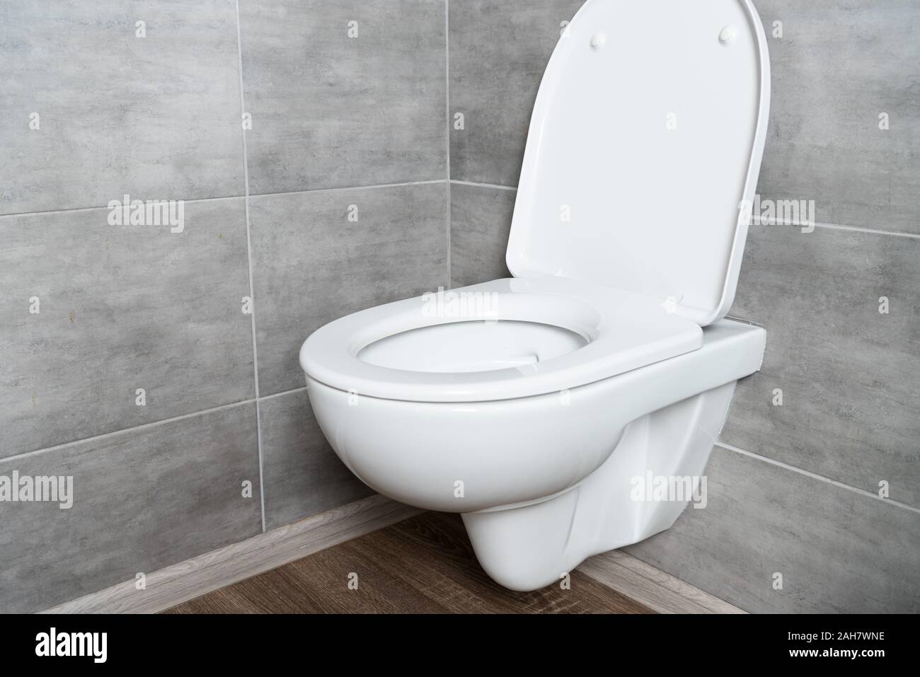 Open Toilet Bowl