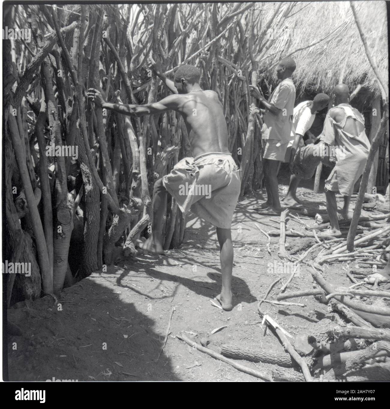 Kenya, Ruel: KuriaBuilding cattle gateway, circa 1958. 2012/001/6/2/25A ...