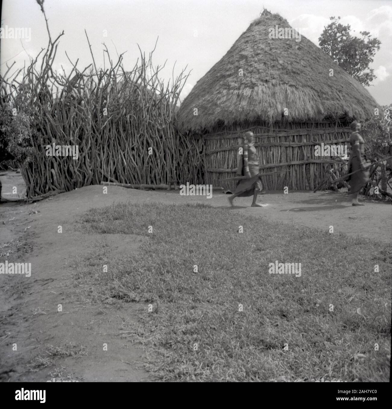 Kenya, Ruel: KuriaCircling the homestead, circa 1958. 2012/001/6/2/38F ...