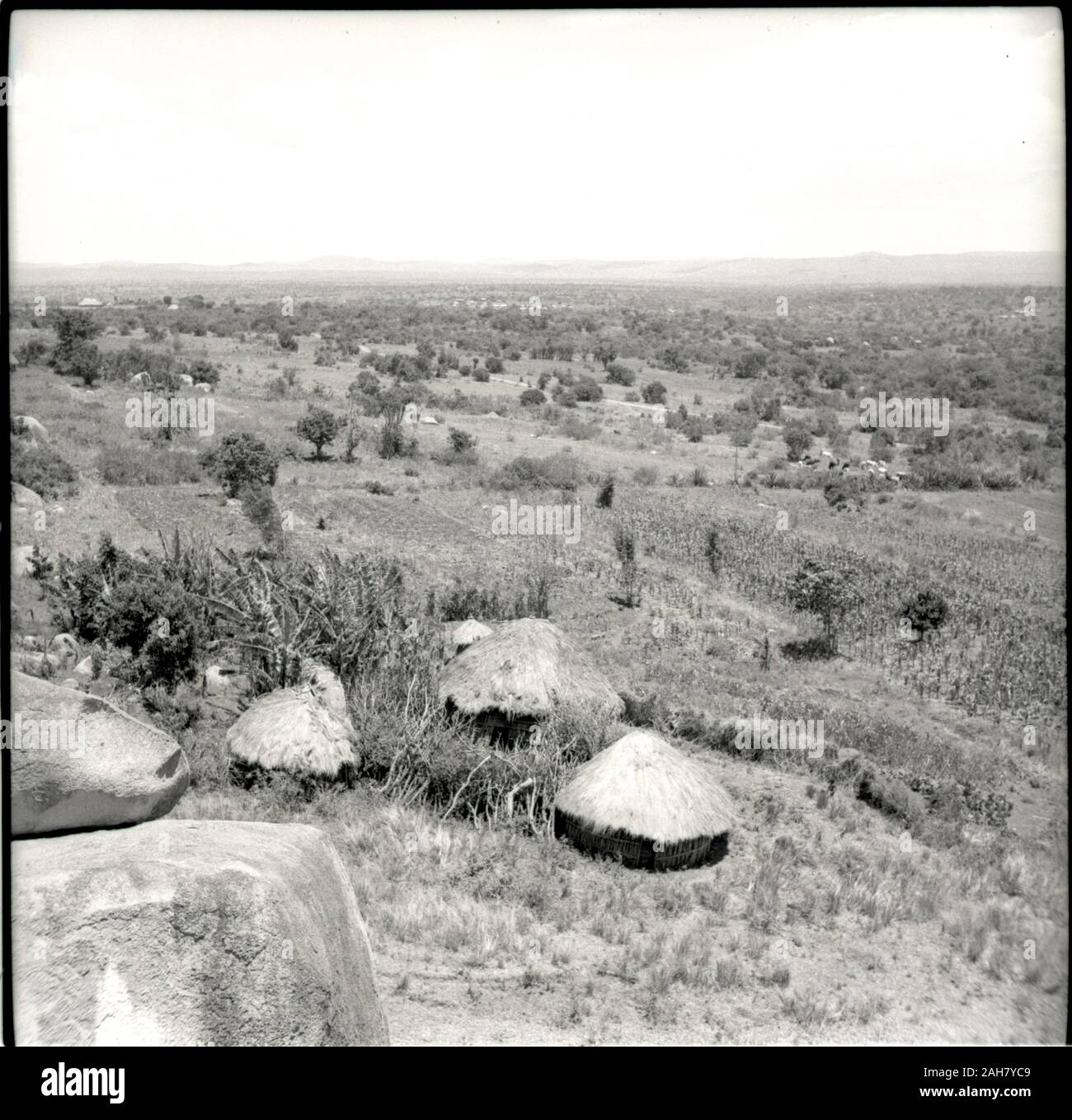 Kenya, Ruel: KuriaHomestead, circa 1958. 2012/001/6/2/40E Stock Photo ...