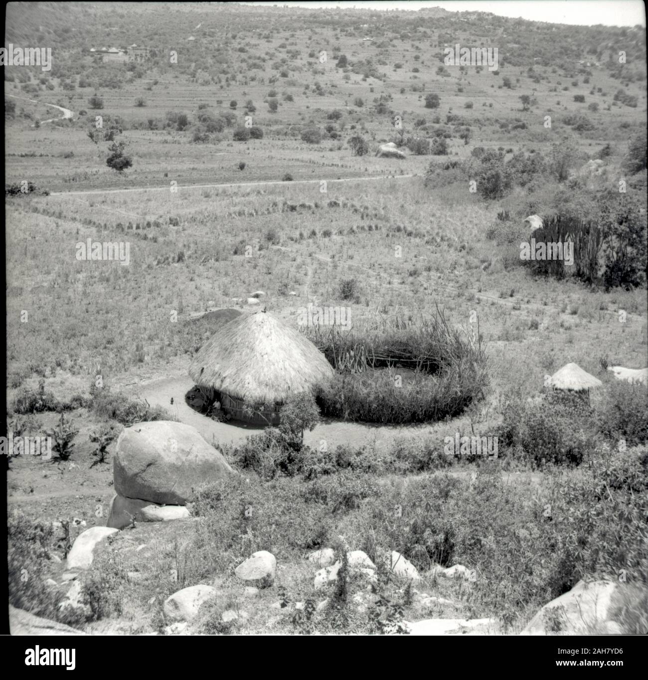 Kenya, Ruel: KuriaHomestead, circa 1958. 2012/001/6/2/40F Stock Photo ...