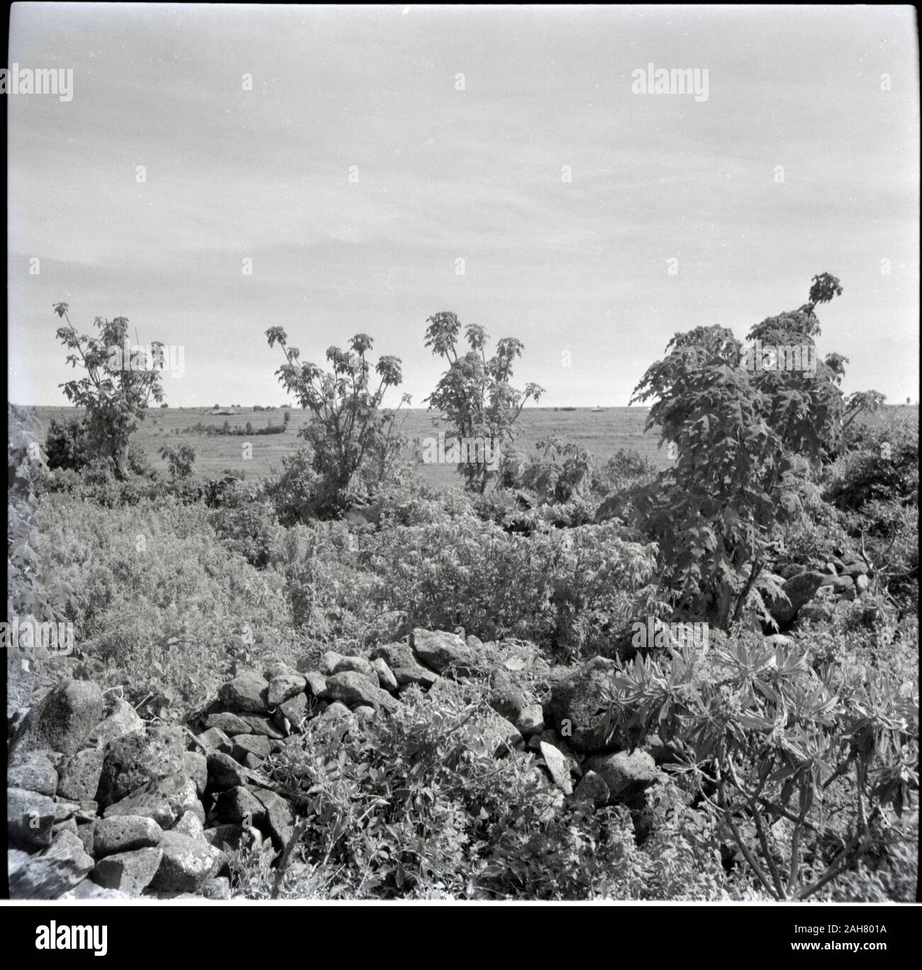 Kuria kenya hi-res stock photography and images - Alamy