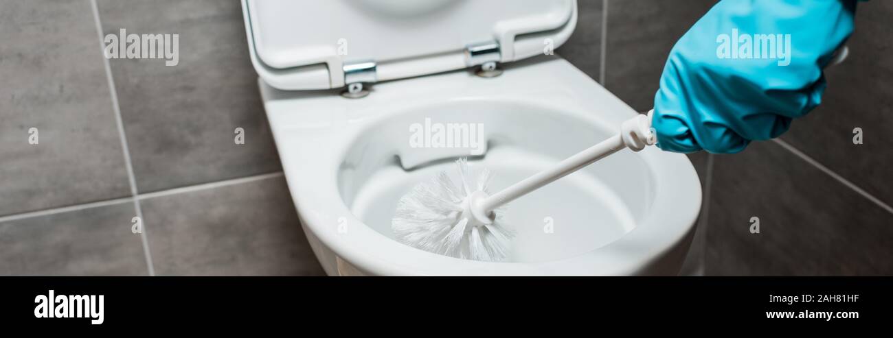 cropped view of cleaner cleaning ceramic toilet bowl with toilet brush ...