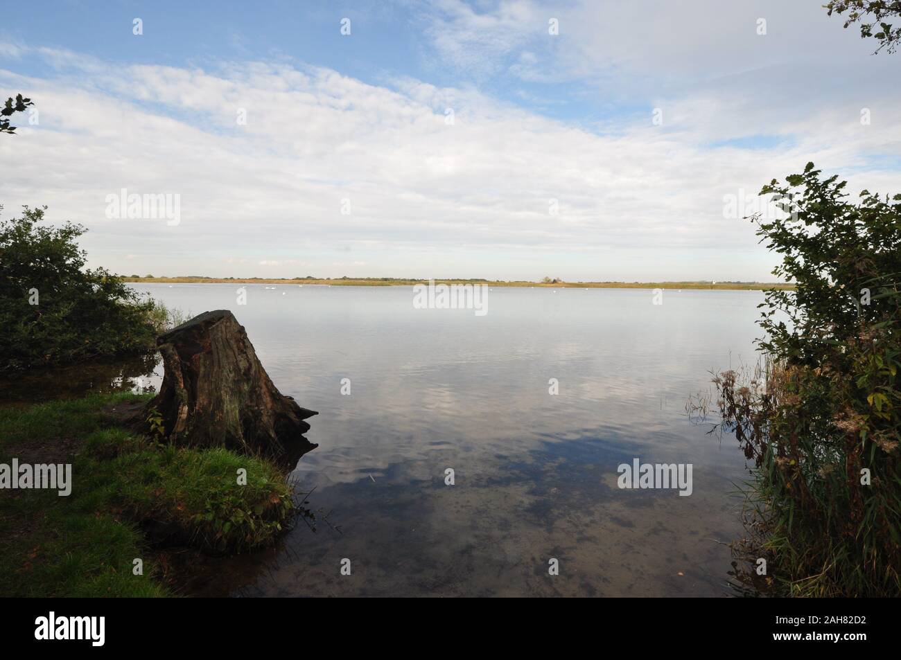 Martham Broad, Norfolk Broads, England, UK Stock Photo - Alamy