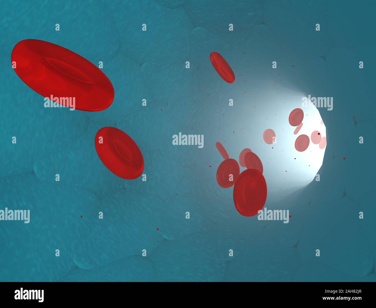 Red blood cells flowing inside a blood vessel 3D CGI render Stock Photo ...